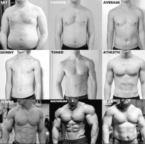 Bear Mode: A Calculated Guide to Doing it Right - Calicoo Hub